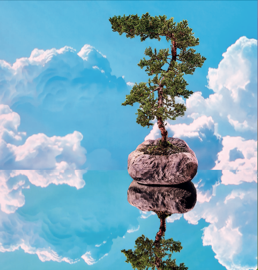 Mayo Clinic Alumni Association | Reflecting back: Alumni recall the values and skills they ...